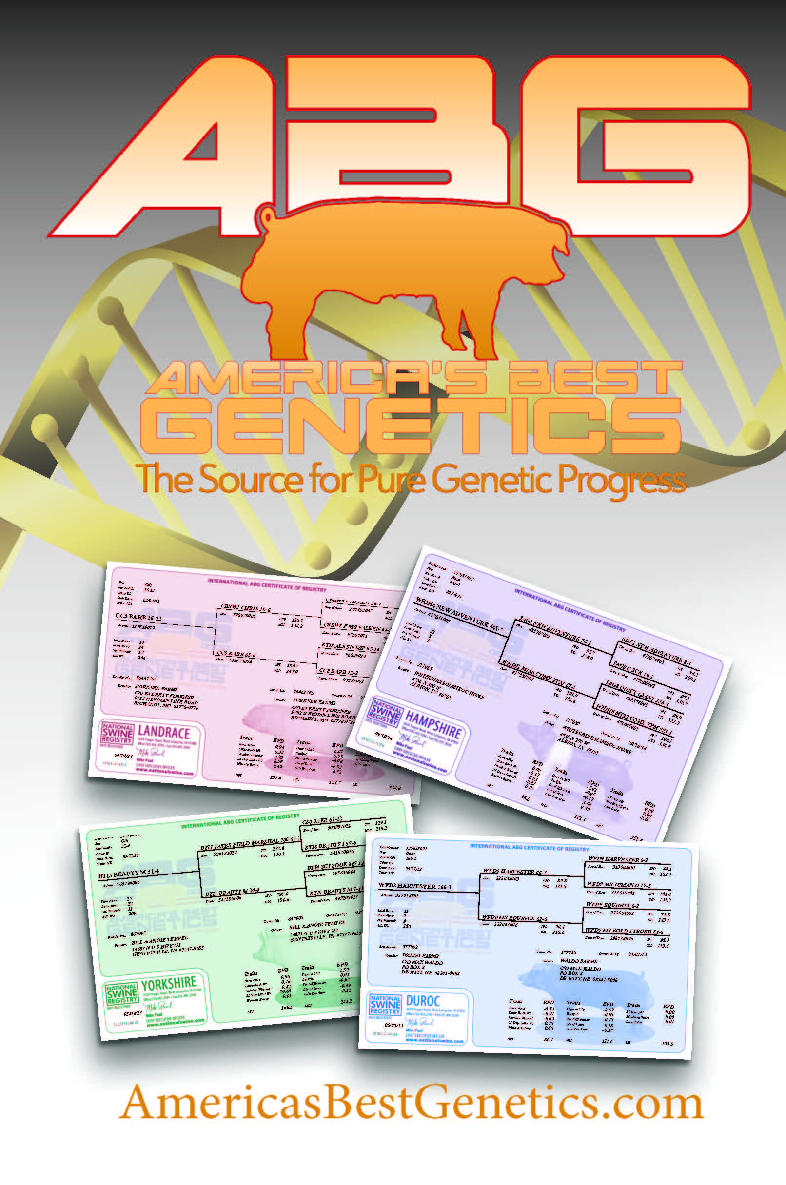 NSR America's Best Genetics