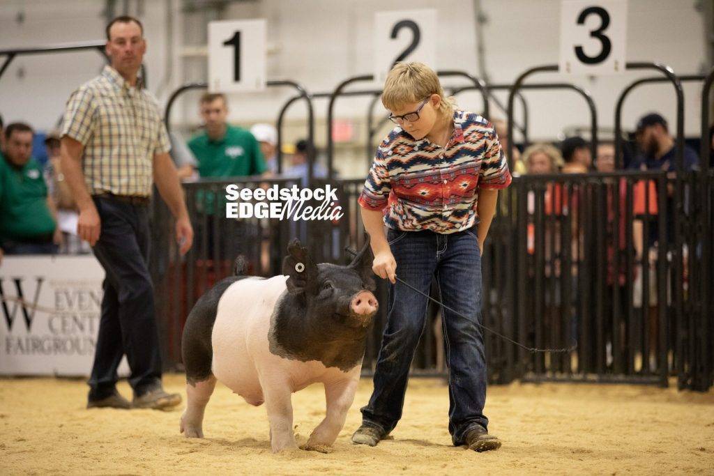 2019 Southwest Regional Crossbred Barrow Show | National Swine Registry