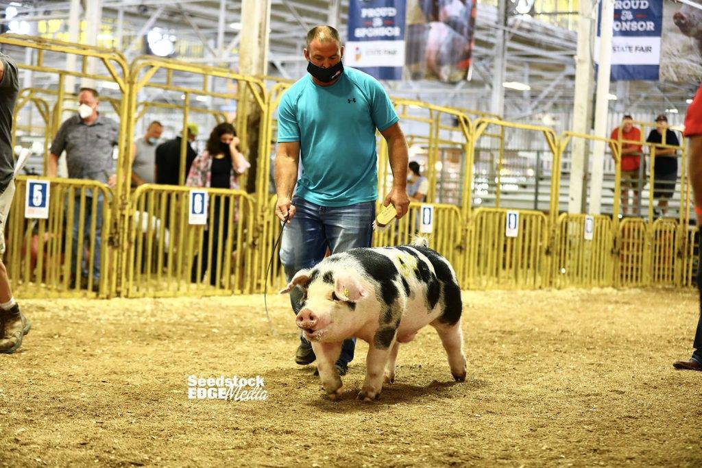 2020 The Midwestern Spotted Show | National Swine Registry