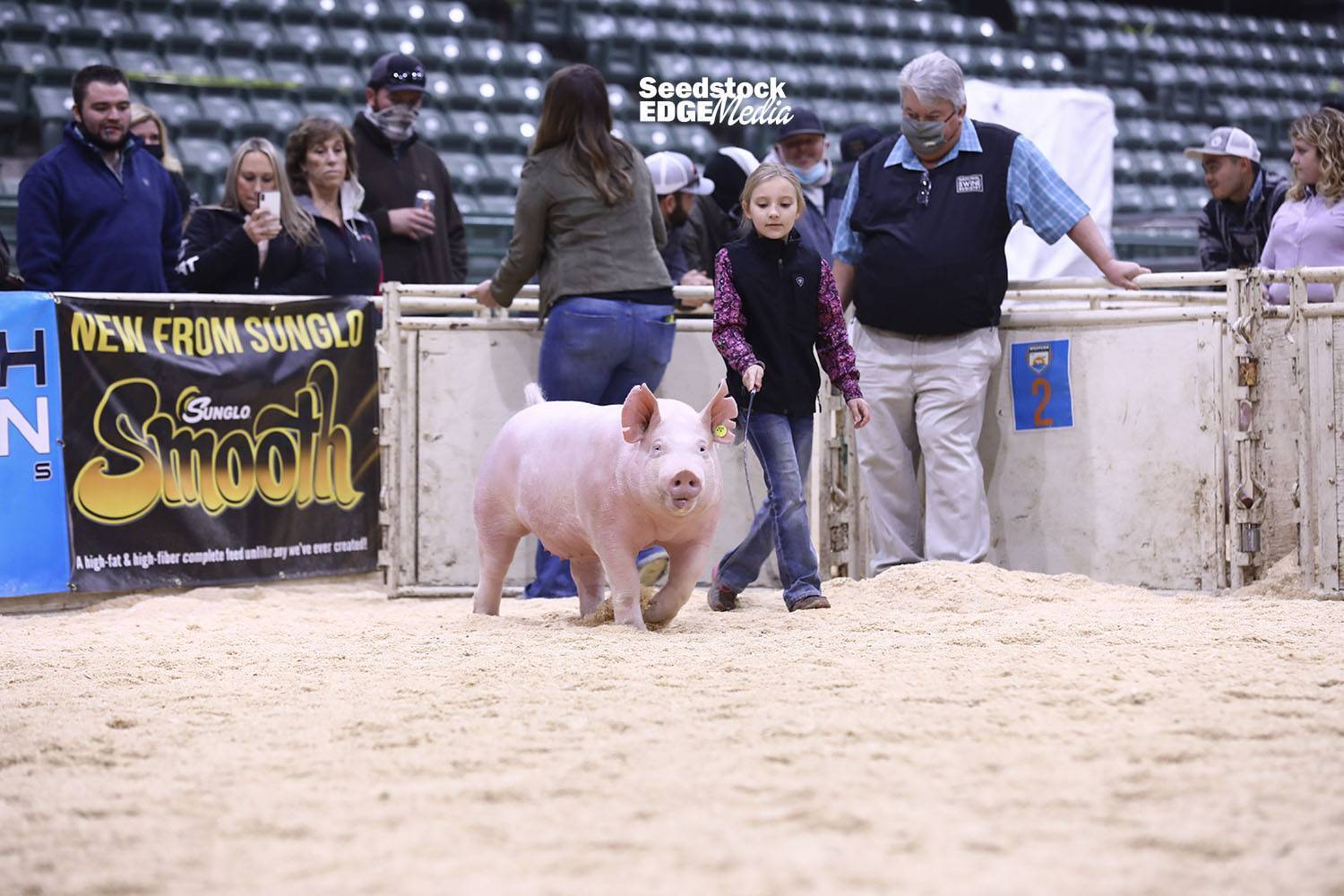 2020 Western Regional Yorkshire Gilt Show | National Swine Registry