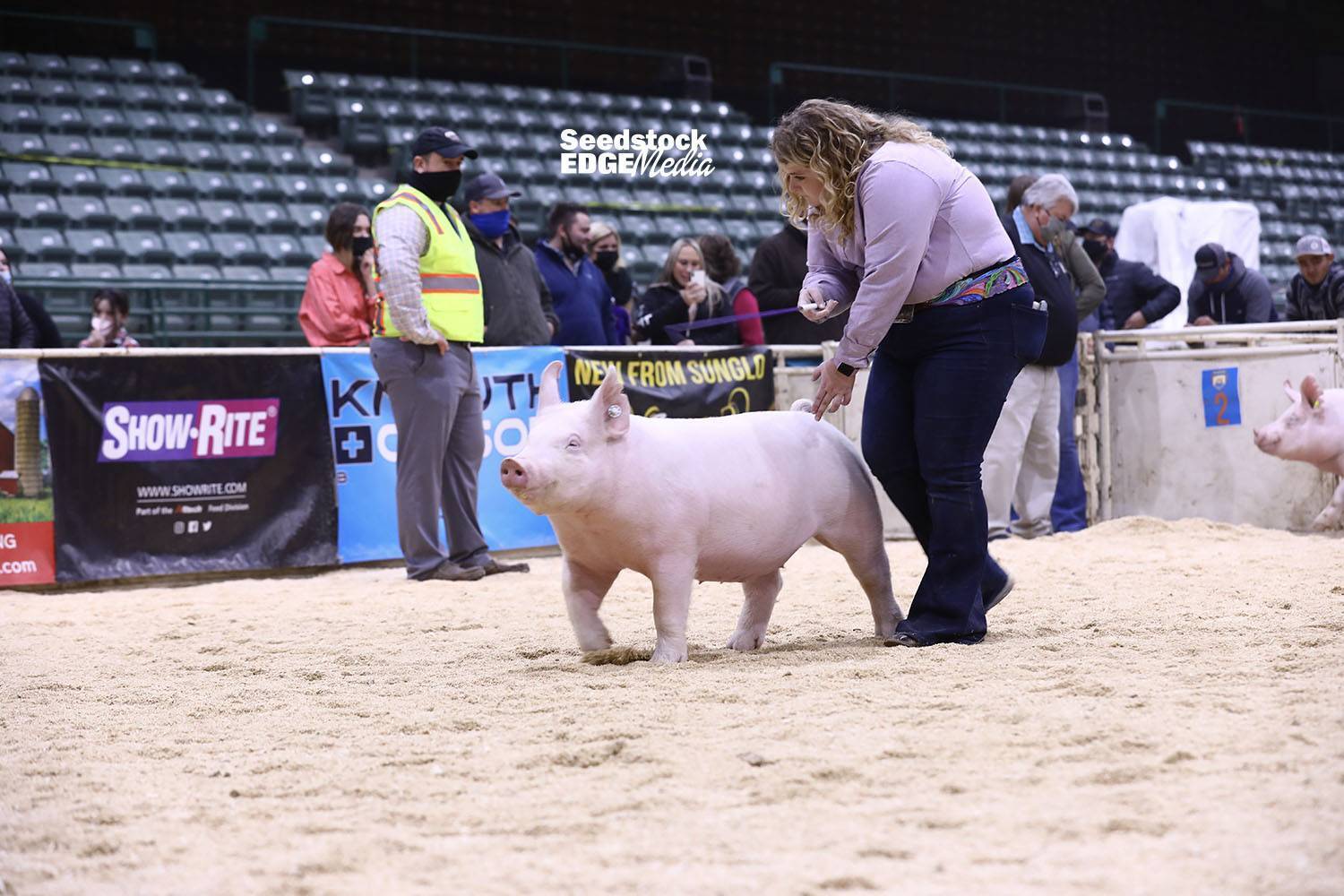 2020 Western Regional Yorkshire Gilt Show | National Swine Registry