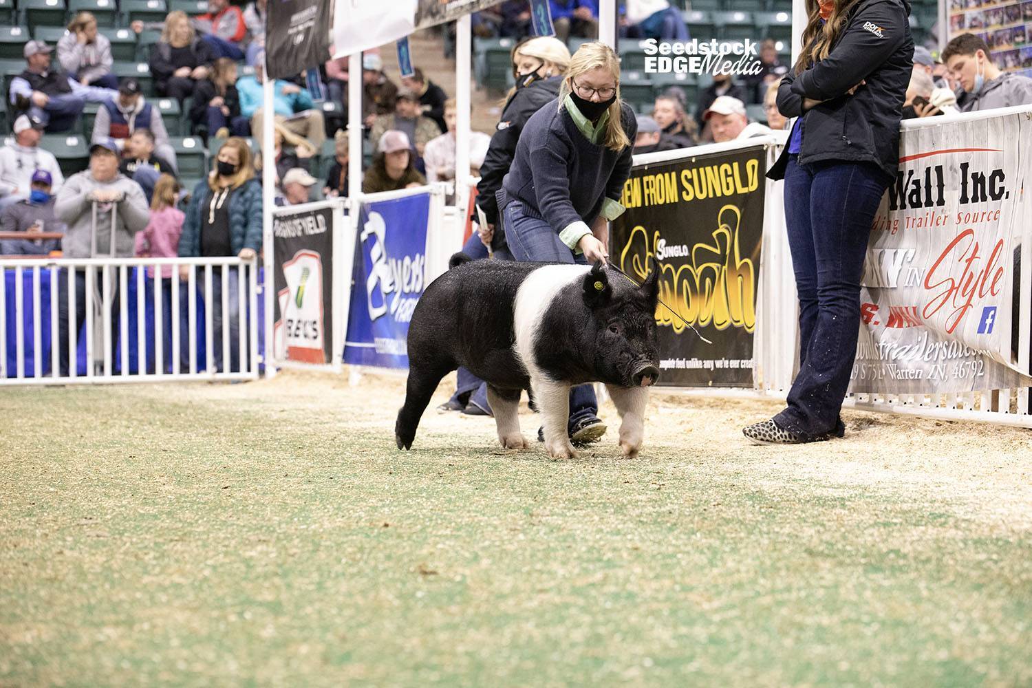 2021 Southeast Regional Hampshire Barrow Show | National Swine Registry