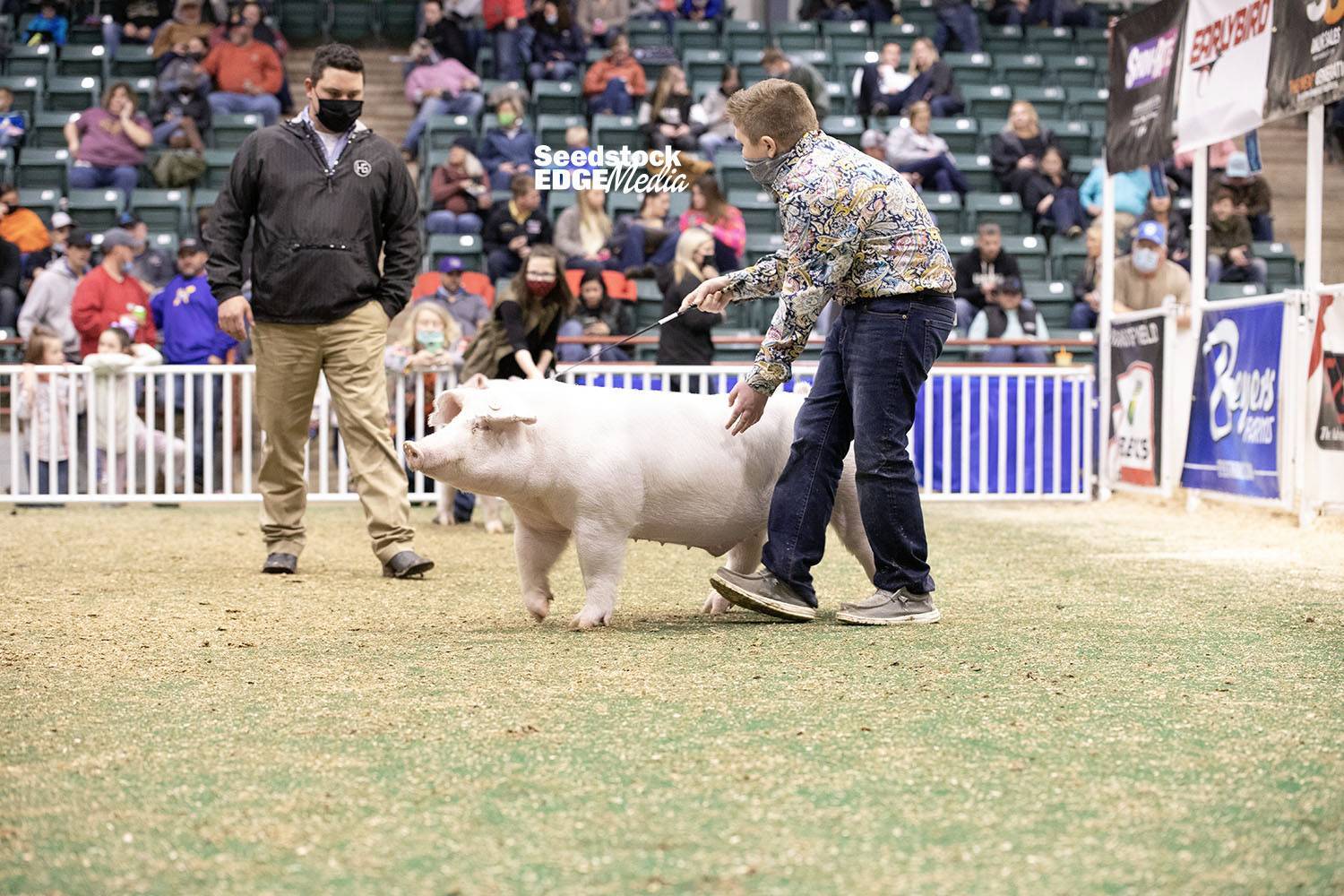2021 Southeast Regional Landrace Barrow Show | National Swine Registry