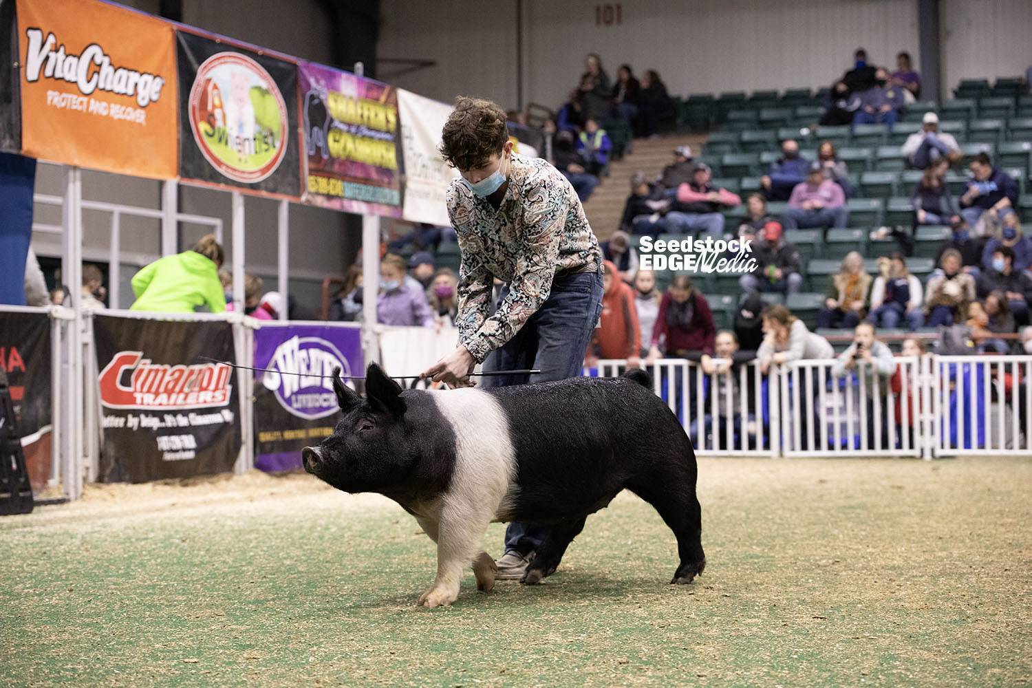 2021 Southeast Regional Hampshire Barrow Show | National Swine Registry