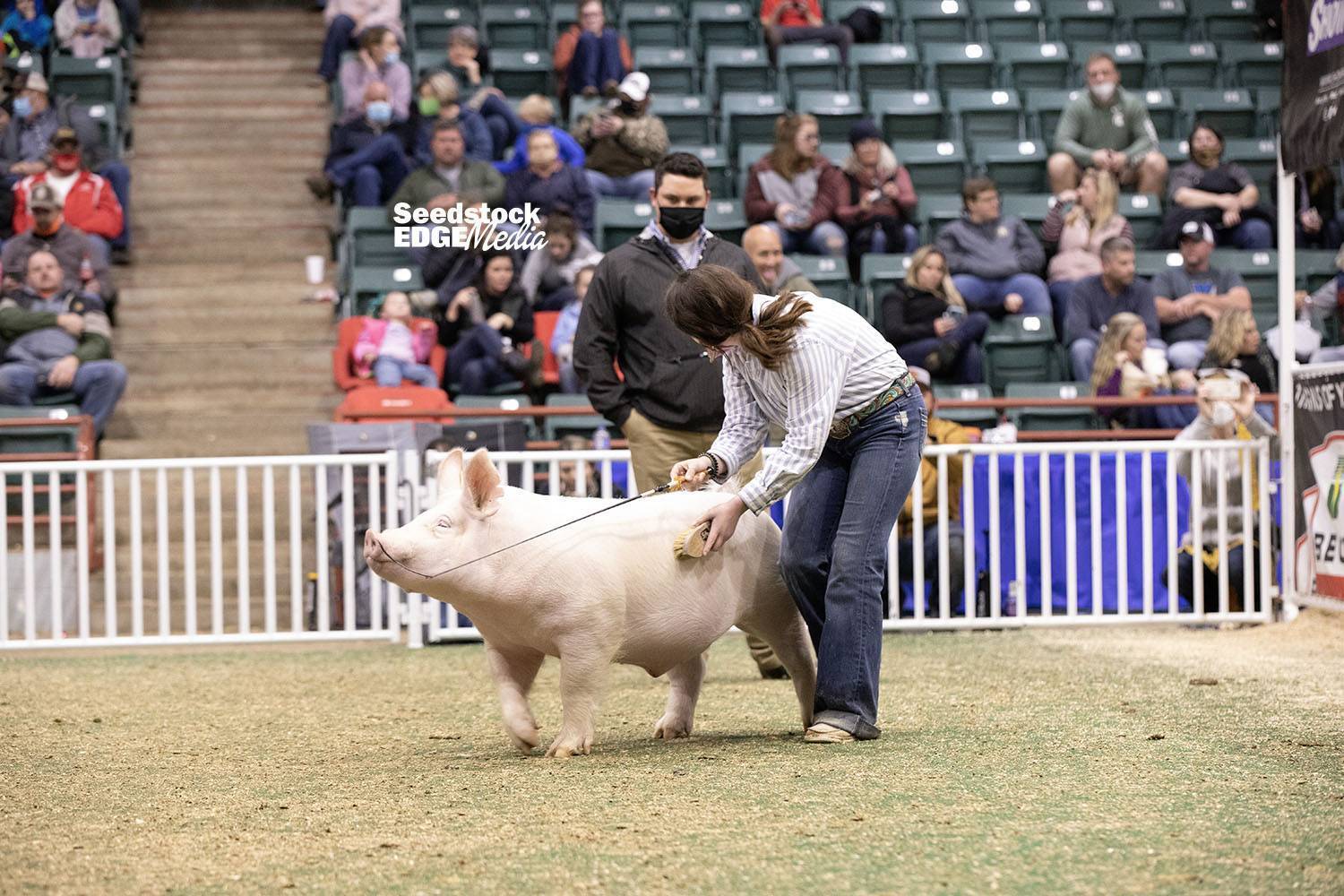 2021 Southeast Regional Yorkshire Barrow Show | National Swine Registry