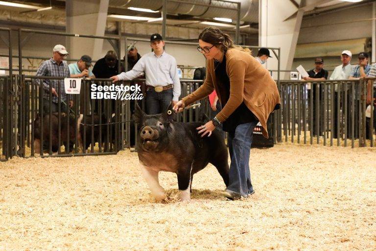 2021 Southwest Type Conference Crossbred Boar Show | National Swine ...