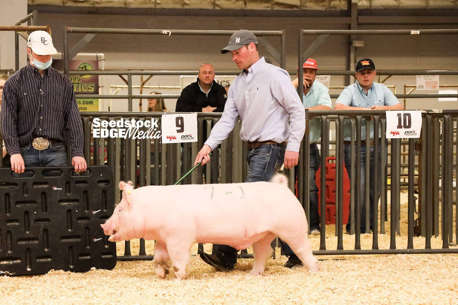 2021 Southwest Type Conference Yorkshire Sale | National Swine Registry