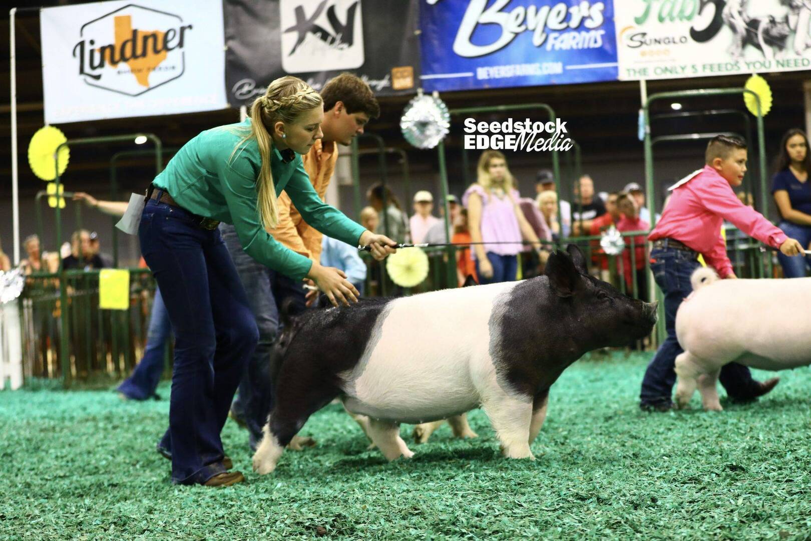 2021 NJSS Overall Crossbred Gilt Show | National Swine Registry
