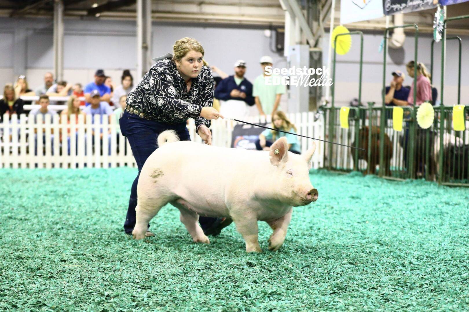 2021 National Junior Summer Spectacular Senior Showmanship | National ...