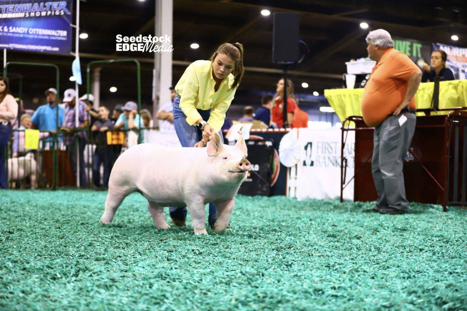 2021 NJSS Yorkshire Gilt Show | National Swine Registry