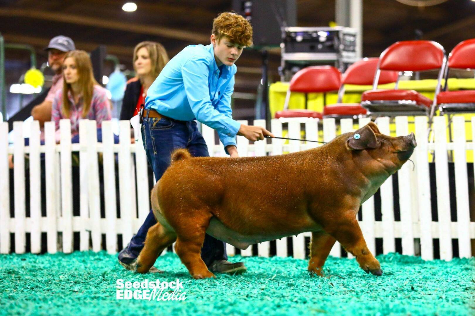 2021 NJSS Duroc Barrow Show | National Swine Registry