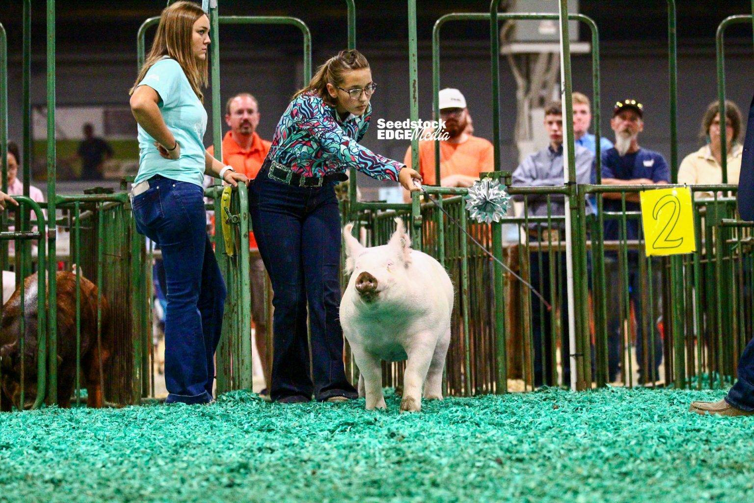 2021 National Junior Summer Spectacular Junior Showmanship | National ...